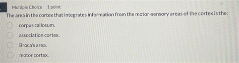 Solved Multiple Choice 1 ﻿point The Area In The Cortex That