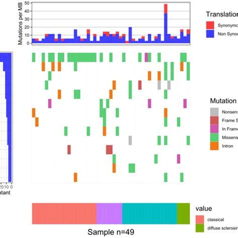 The Waterfall Plot Of 14 Genes In Which Mutations Were Identified In At