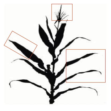 Comparison Of Feature Recognition Effects Download Scientific Diagram