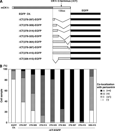 Centrosomal Localization Signal Of Ck1δ Was Delineated By Deletion
