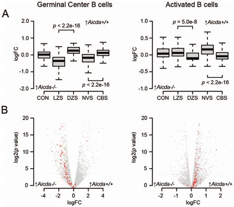 Transcriptome Comparisons Of Gc B Cells And In Vitro Activated B Cells
