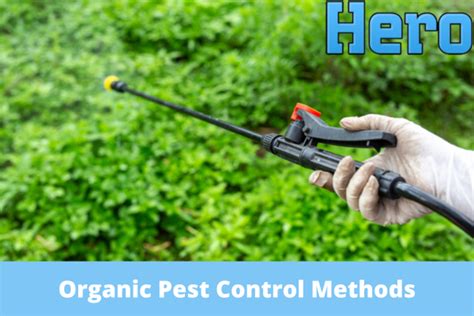 Organic Pest Control Methods