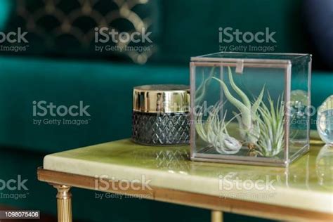 골드 커피 테이블 액세서리와 Tillandsia 인테리어 닫습니다 회색 벽 갈색 나무 마루입니다 거실의 현대 개념입니다 Detalis입니다 0명에 대한 스톡 사진 및 기타