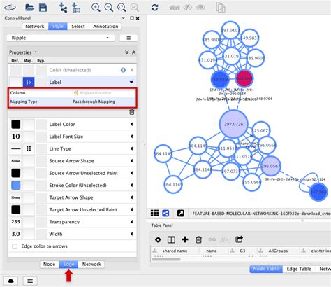 Iin Workflow Gnps Documentation
