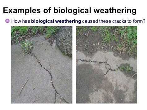 02 Types Of Weathering
