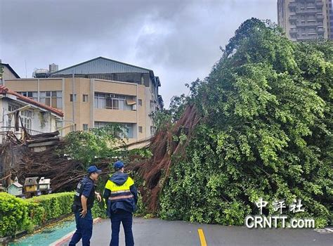 连放二天台风假 台中商场电影院涌人潮
