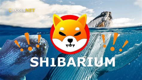 Shibarium Hakkında Önemli Gelişme Balinalar SHIB ve BONE u Satıyor