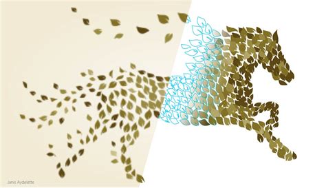 Coreldraw Graphics Suite 2019 Windows