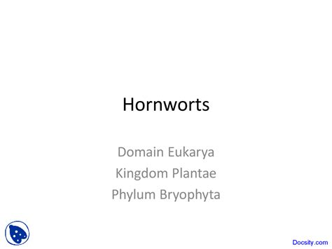 Hornworts Biology Of Plants Lecture Slides Docsity