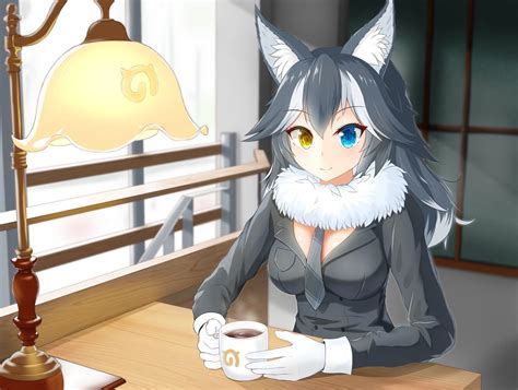 Anime Kemono Friends Grey Wolf Kemono Friends 1080p Wallpaper