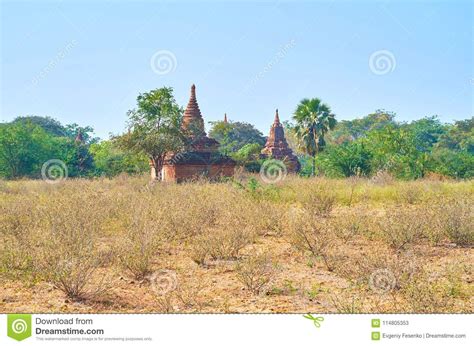 Stupas In Forest Stock Image Image Of Path Buddhism