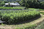 細河の植木細河地域推進協議会細河みどりの郷大阪府池田市