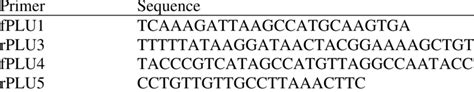 Nested Pcr Oligonucleotide Primers And Their Sequences Download