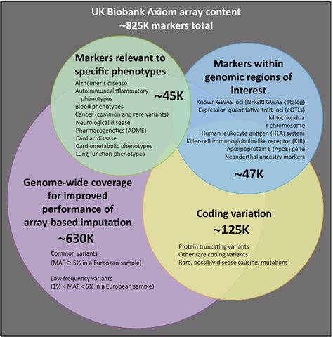 PDF Genome Wide Genetic Data On 500 000 UK Biobank Participants