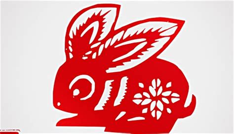 满身名牌的有钱人 居然都是装出来的（非洲萨普）探秘志