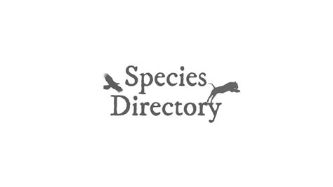 Species Directory — Wildart Works