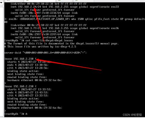 linux dhcp安装配置流程 如何在linux搭建dhcp csdn博客
