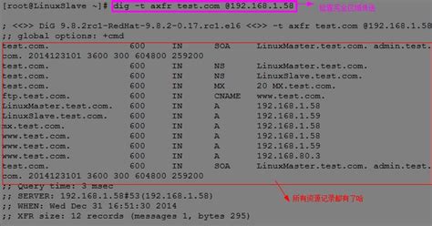 linux运维实战之dns（bind）服务器的安装与配置 51cto博客 dns服务器软件bind的配置文件