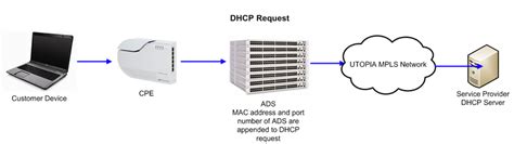 dhcp option 82 request download scientific diagram