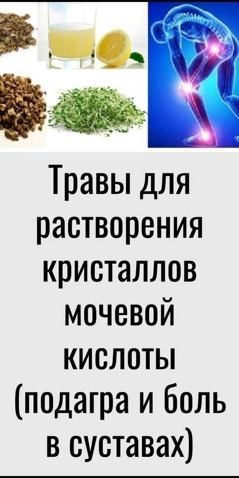Травы для растворения кристаллов мочевой кислоты подагра и боль в суставах