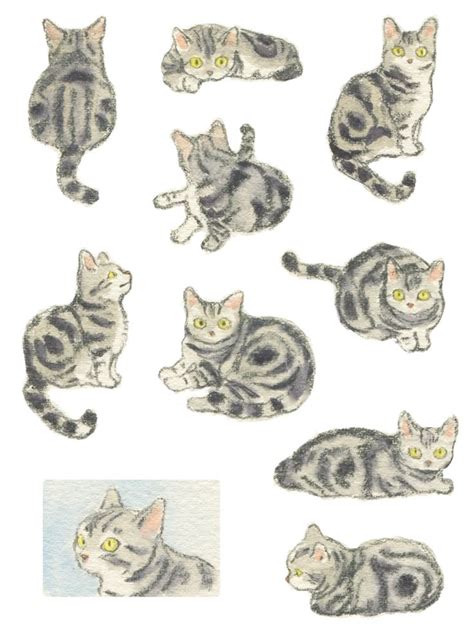 猫の描き方はバランスを知れば簡単！構造理解でネコ科を上達しよう イラスト・漫画 マンガ 教室 Egaco エガコ 猫の解剖学 猫