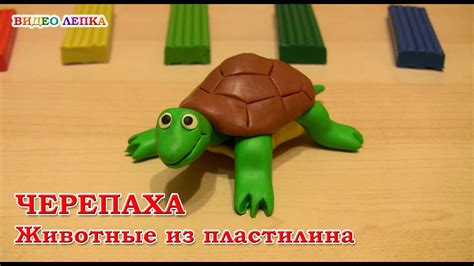 ЧЕРЕПАХА Лепим из пластилина Видео Лепка Youtube