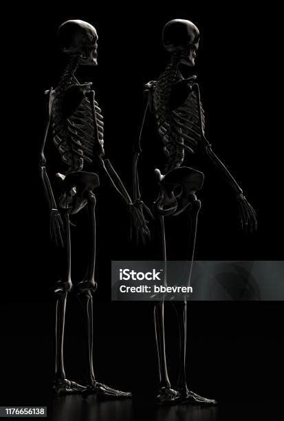 남자와 여자의 해골 함께 손을 잡고 서있는 동안 3d 렌더링 0명에 대한 스톡 사진 및 기타 이미지 0명 3차원 형태