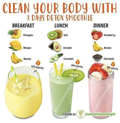 Top Free Crochet Purse For Ladies 2022 Smoothie Recipes Healthy