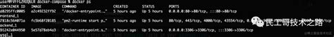 使用 Docker compose 一键打包部署项目真心不错啊 腾讯云开发者社区 腾讯云