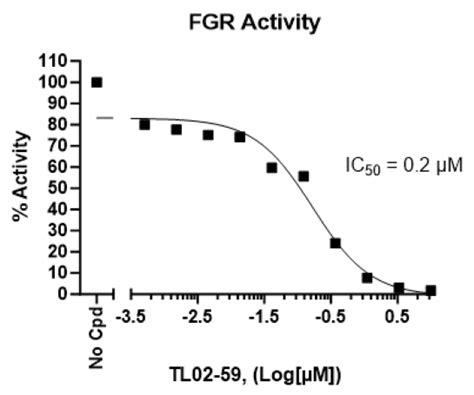 Fgr Kinase Assay Kit Fgr 82292
