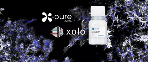 Rousselot And Xolo Strengthen Collaboration In 3d Bioprinting Research With Co Branding