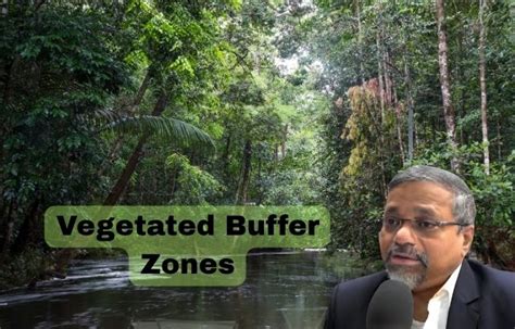 Creating Vegetated Buffer Zones A Key To Protecting Water Quality And