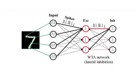 Towards Efficient Neuromorphic Hardware Unsupervised Adaptive Neuron