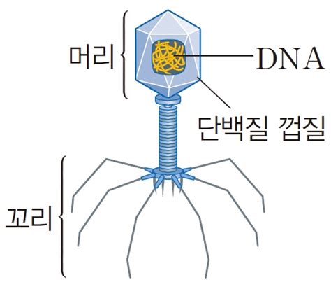 미래엔 엠티처