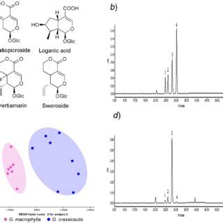 A Structures Of Four Marker Compounds B HPLC Profiling Of Four Download Scientific Diagram