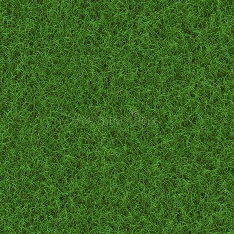 Grass Seamless Pattern Stock Illustration Illustration Of Grass 11893859