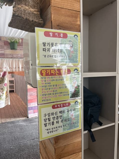 서울 근교 양평 양수리 딸기체험농장 네이버 블로그