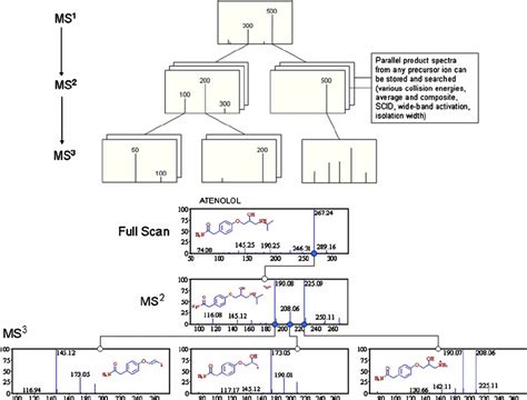 A Spectral Tree Diagram From MassFrontier Representing Multiple Stage Download Scientific