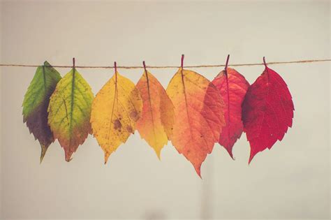 Mastering Bigquerys Pipe Syntax Streamlining Your Sql Queries By