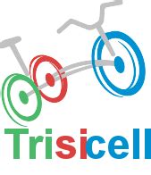 Trisicell Scalable Intratumor Heterogeneity Inference And Validation From Single Cell Data