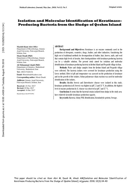 Pdf Isolation And Molecular Identification Of Keratinase Producing Bacteria From The Sludge Of