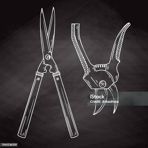 칠판에 고립 된 정원 Secateurs 스케치 스타일의 벡터 그림입니다 가지치기에 대한 스톡 벡터 아트 및 기타 이미지