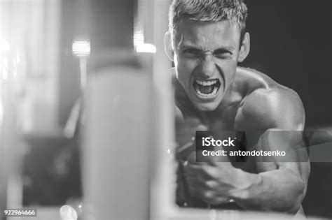 Pria Muda Model Tampan Berlatih Kembali Di Gym Foto Stok Unduh Gambar