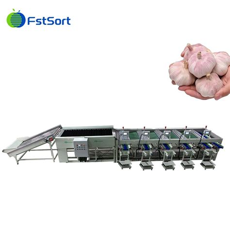 large continuous garlic sorting machine garlic cleaning sorting slicing