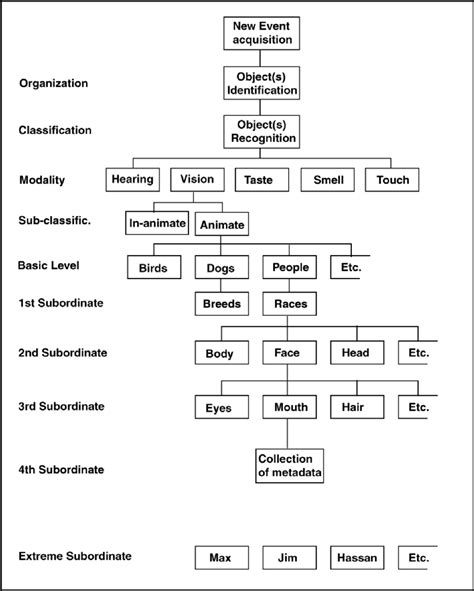A Framework For Discussing Object Recognition Within A Broader