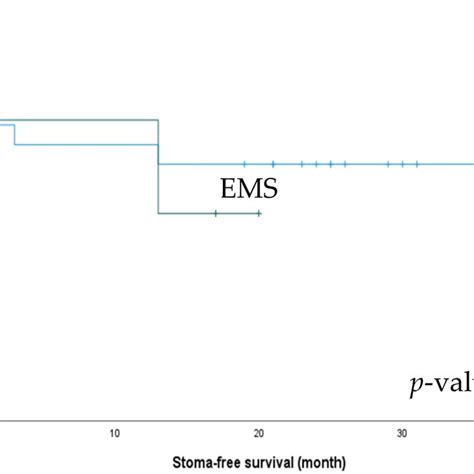 Comparison Of 2 Year Survival Outcomes Between The Elective Surgery