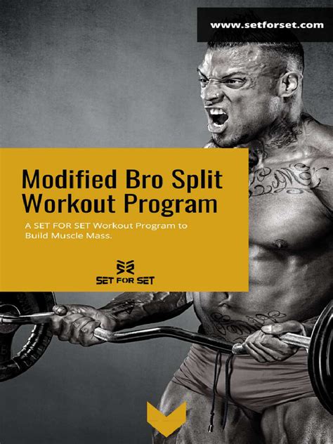 Sfs Modified Bro Split Workout Program Pdf Weight Training Strength Training