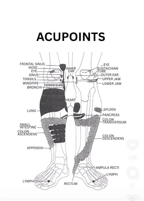 Best 12 Cervical Epidural Injection With Contralateral Oblique View