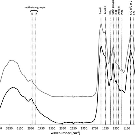 Attenuated Total Reflection Fourier Transform Infrared Spectroscopy