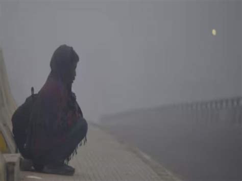Bihar Weather Today Bihar Shivered Due To Cold Wave Mercury Dropped By